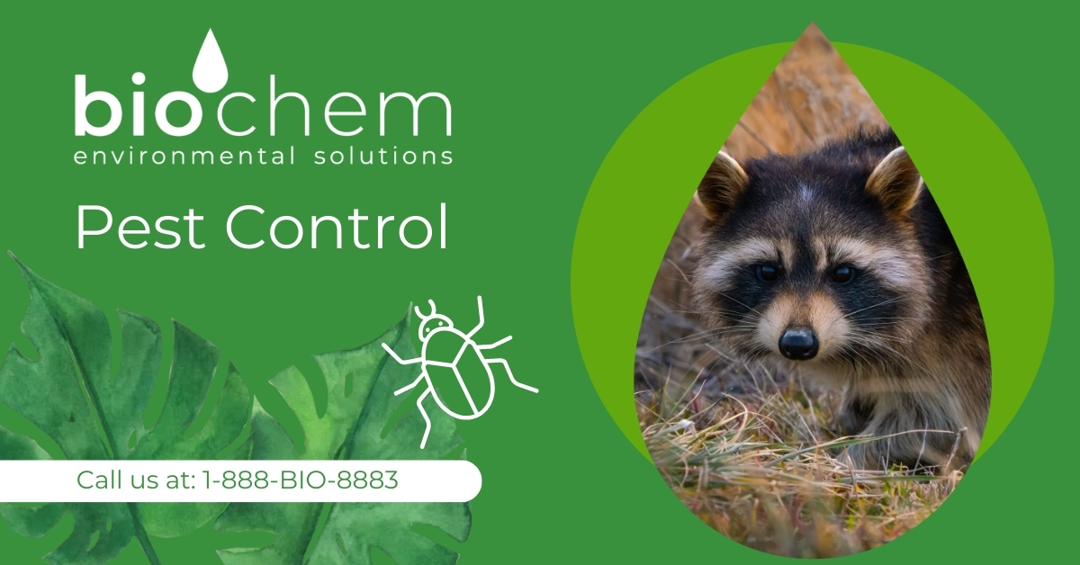 Pest Control Expert Solutions for Any Facility | Biochem